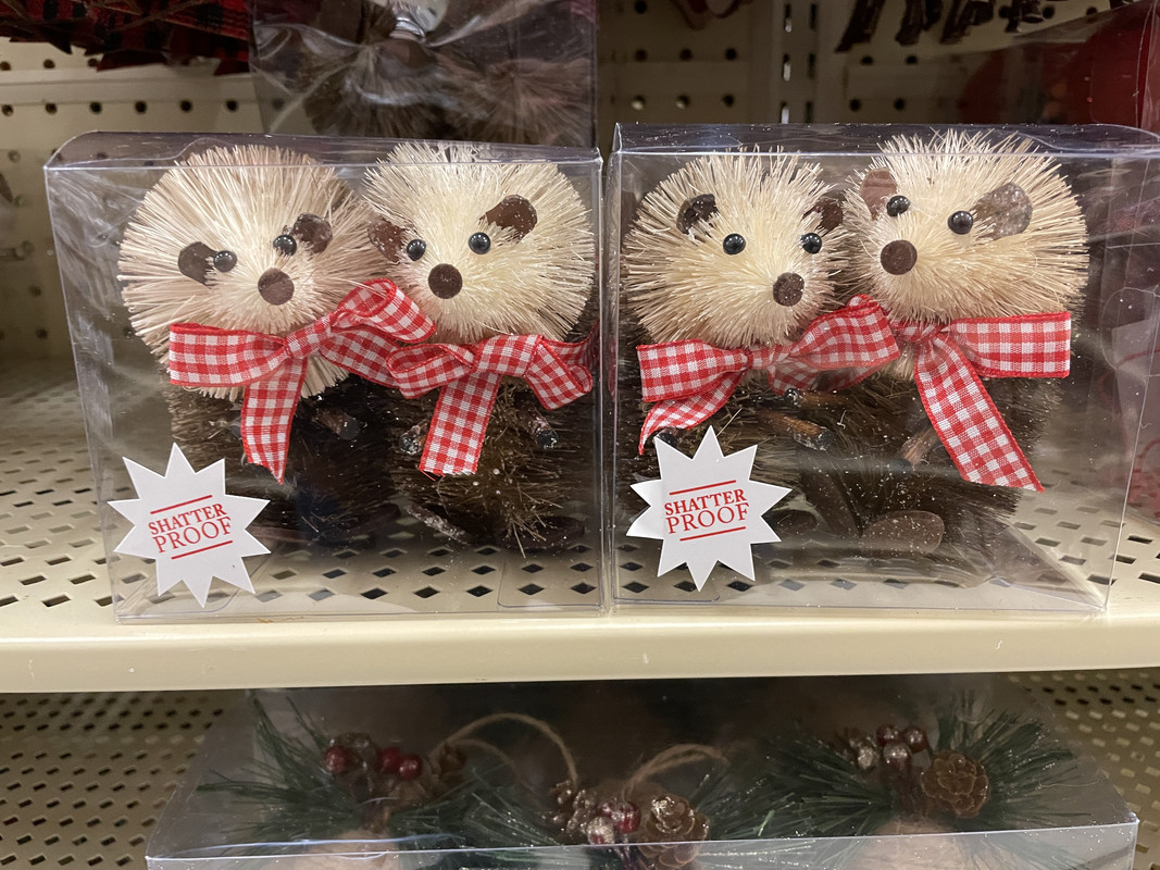 IMG 1986 — Postimages