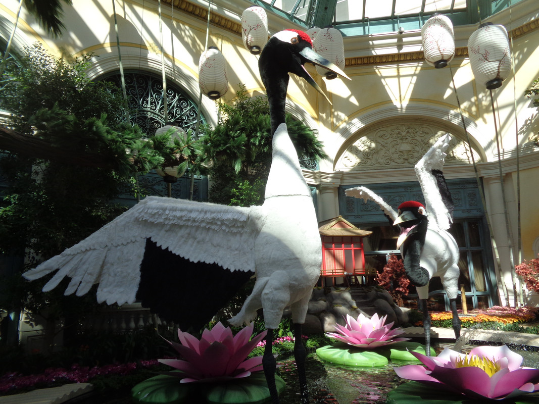 Bellagio Conservatory Spring & Vanderpump Cocktails Photos - Las Vegas ...