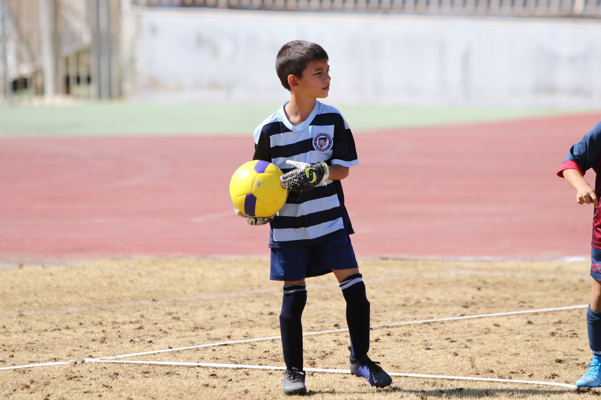 VIK 2093 — Postimages