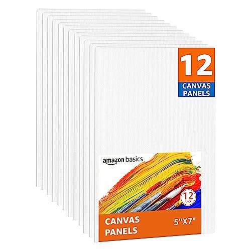 Amazon: Paneles de lienzo para pintura, paquete de 12, 5 x 7 pulgadas