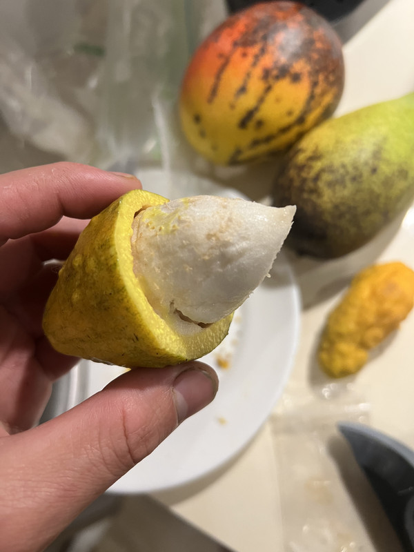 FA690518 7930 4 AE4 8033 0 E47 B5 CD54 AA — Postimages