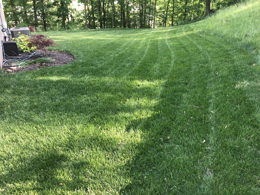 ICan Grow Grass — Postimages