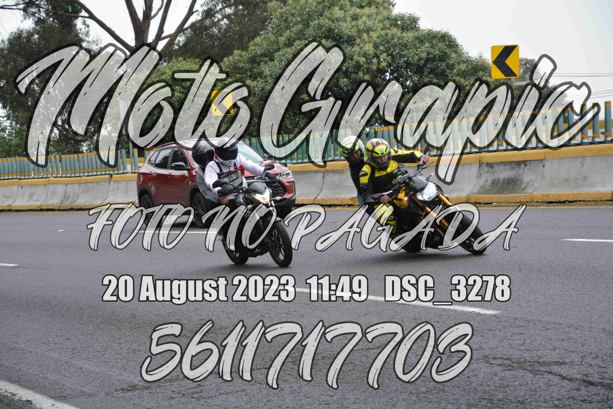 motgr DSC 3278 — Postimages