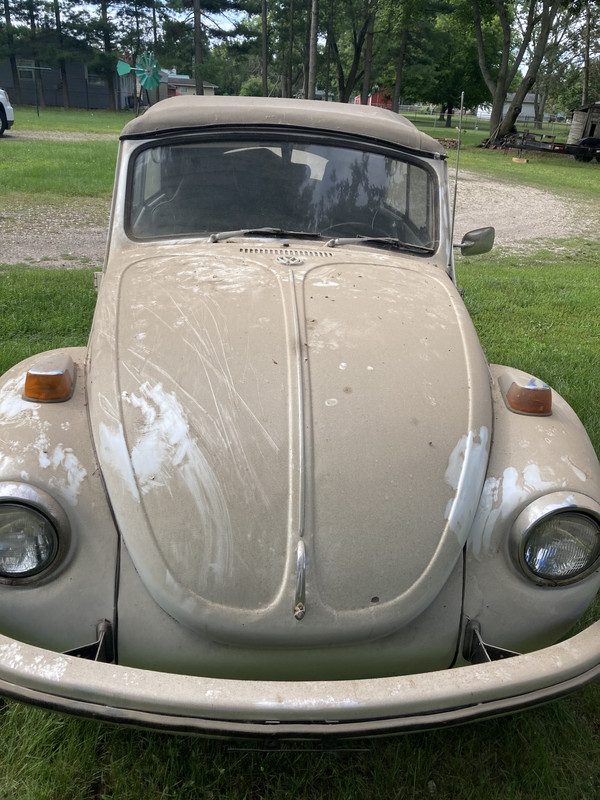 IMG 6805 — Postimages