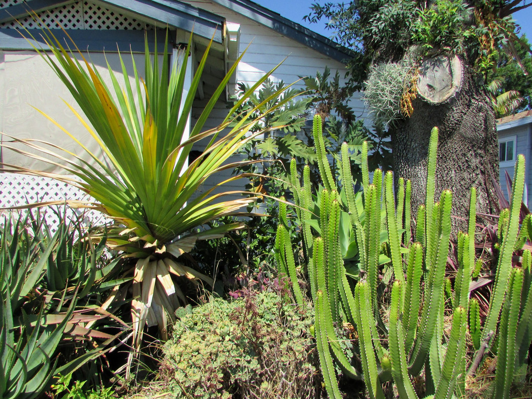 IMG 4809 — Postimages