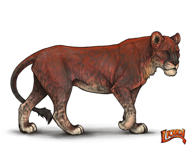 ᴘᴀɴᴛʀʏ's RLC Barked Heats [Feb] :|: Lioden