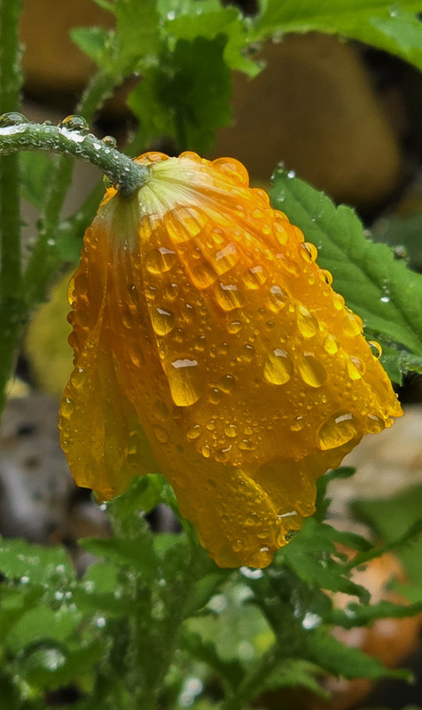 20240523 094313 — Postimages