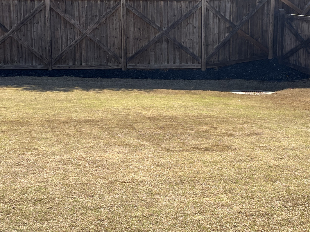 25 B3 D4 B1 191 C 4158 BB31 CC1 F367 AD62 E — Postimages