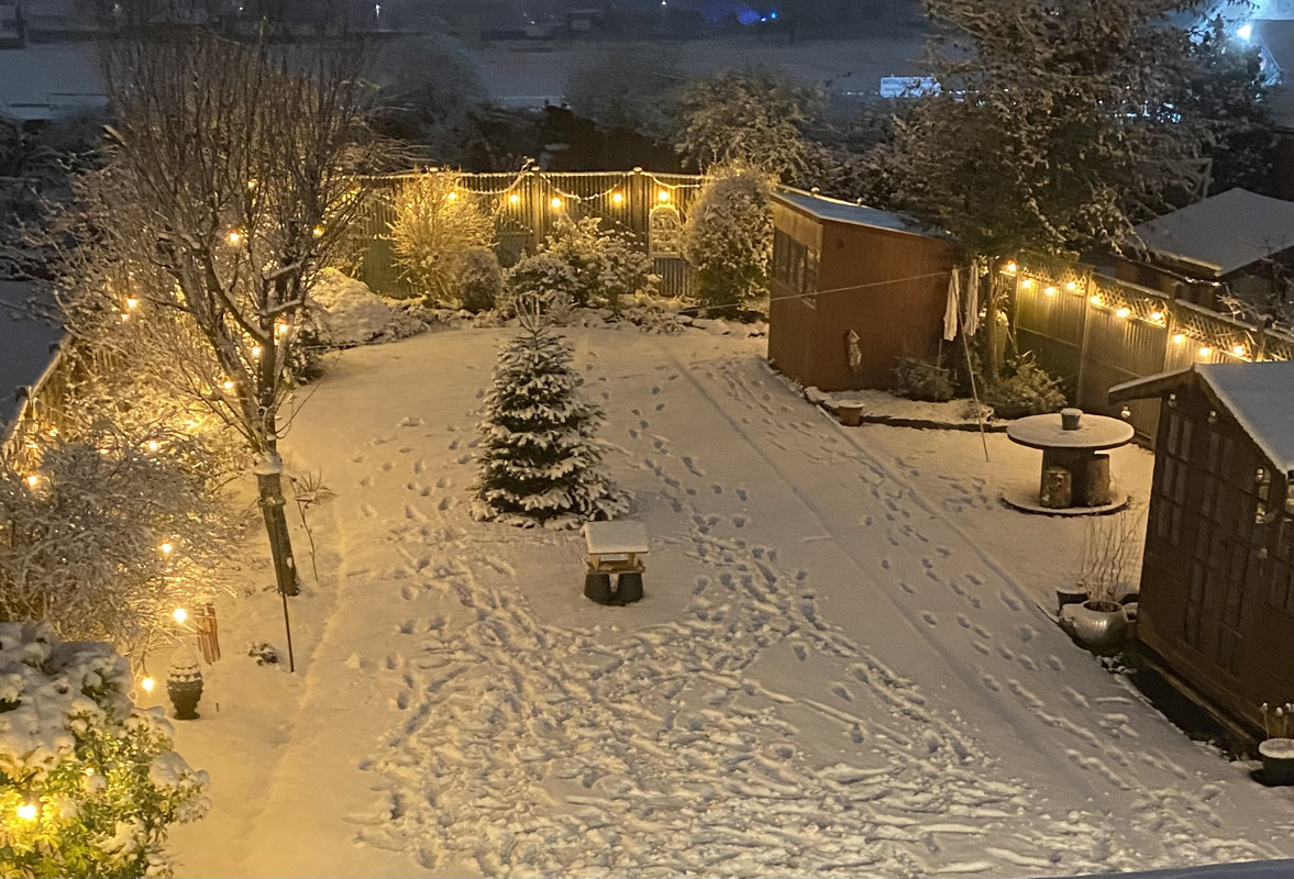 IMG 1827 — Postimages