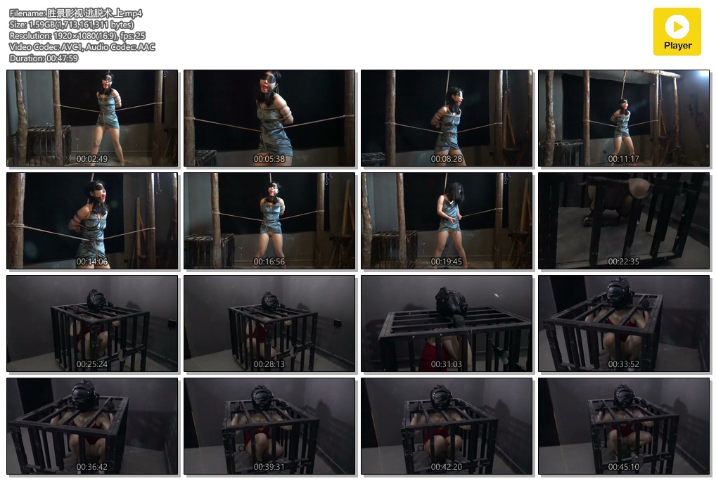 Forumophilia Porn Forum Asian Girls Bound And Gagged Page 190