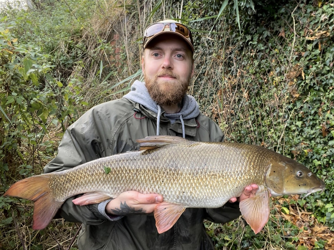 8 BFE2 E5 D 83 B2 48 F5 9449 17284 FFC260 A — Postimages