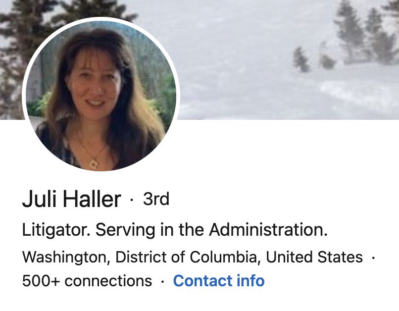 KRAKEN PDF metadata: The author of the PDF isn't Sidney Powell, it's ...