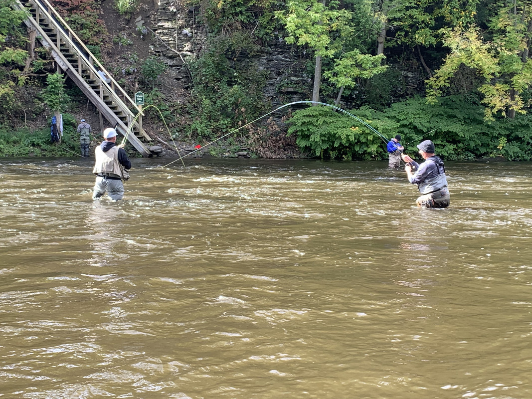 DAB5 BA08 7213 4 C70 B04 E 2 A025225073 C — Postimages