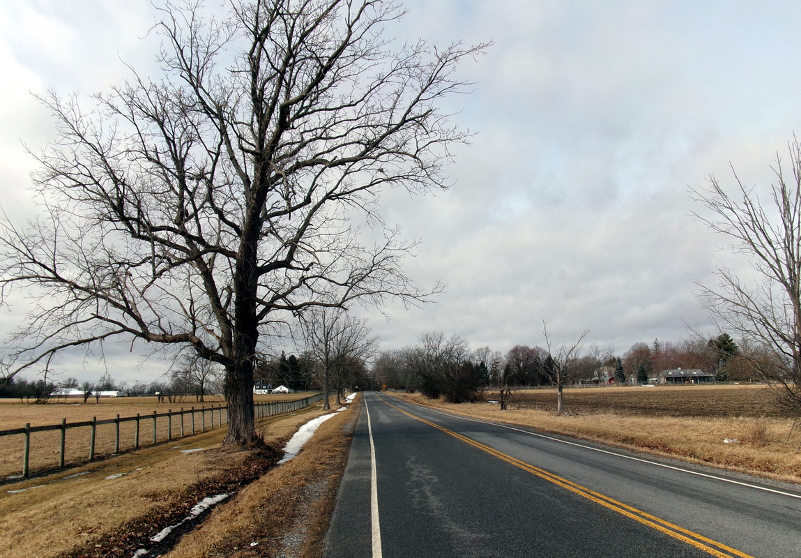 RunningAHEAD - Topic: February - Chasing the pace groundhog!