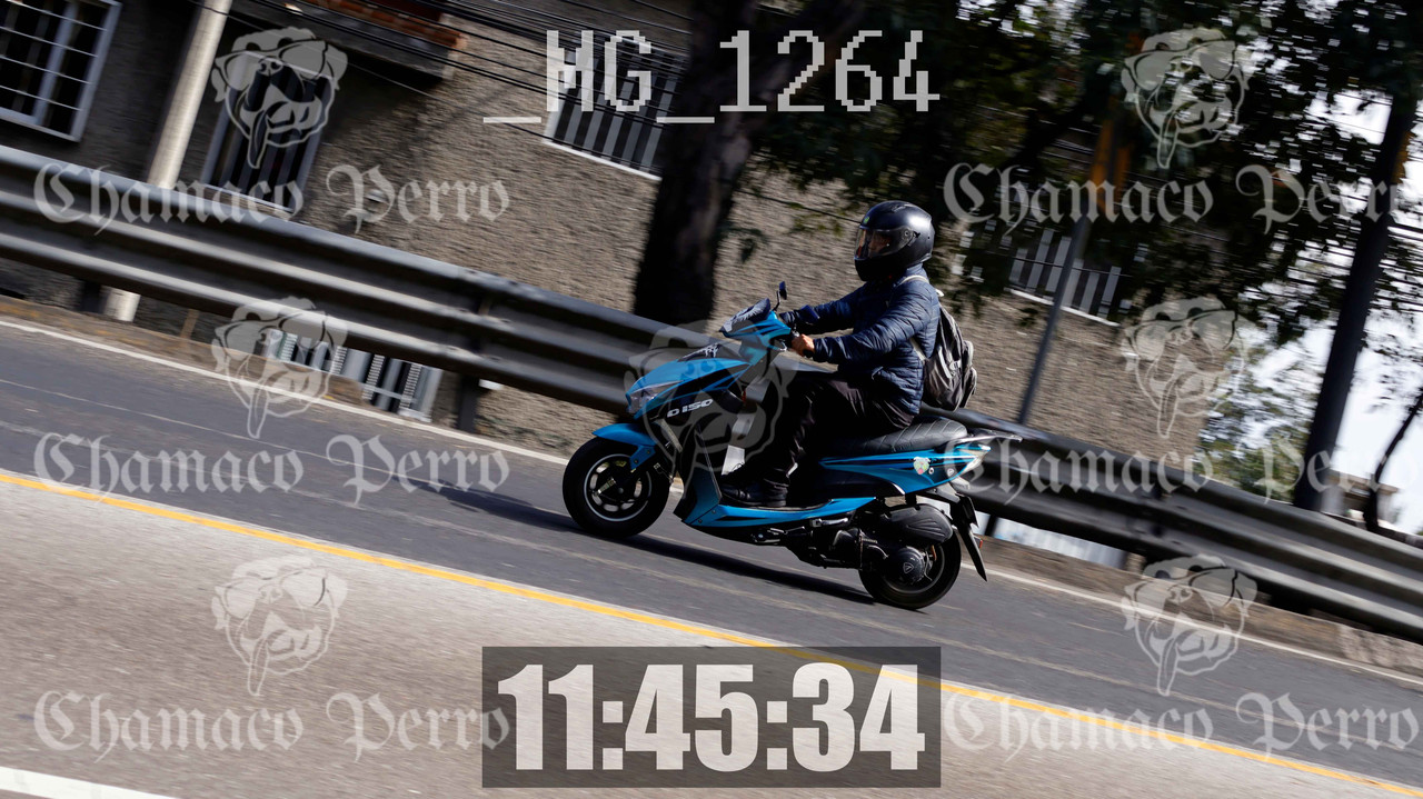 MUESTRA MG 1264 — Postimages