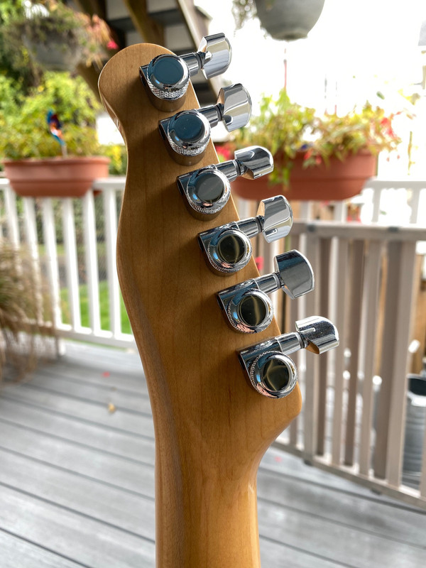 IMG 3214 — Postimages