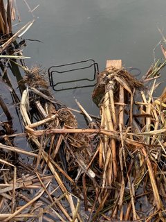 beaver float — Postimages