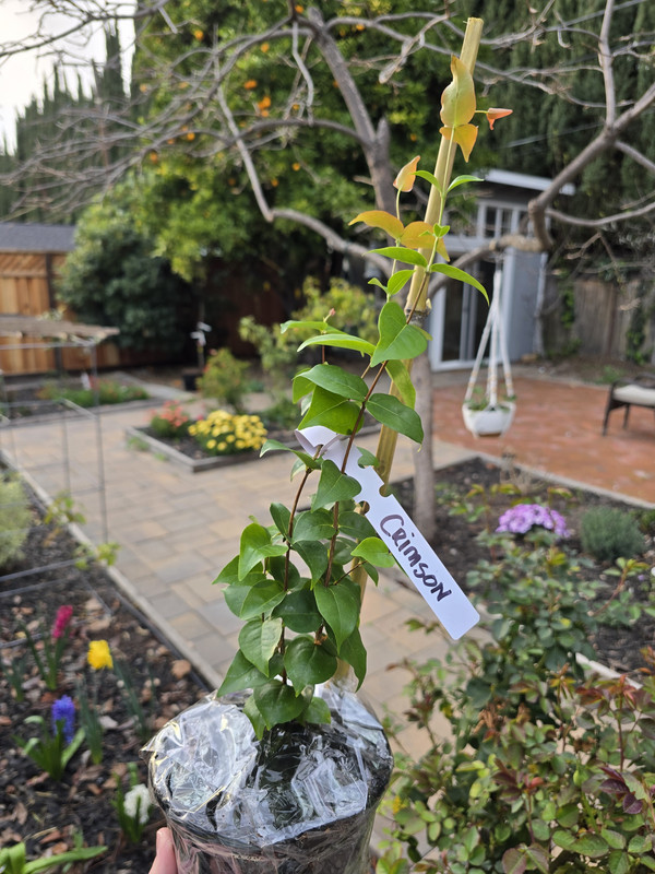 20250303 173634 — Postimages