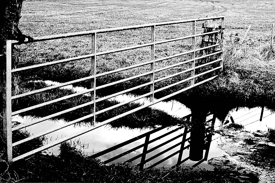 Post Processing Challenge #413 - PentaxForums.com