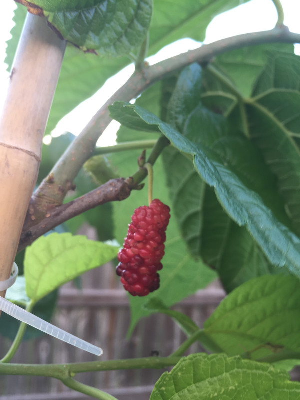 B1247 D89 2 C1 A 4 A48 80 B4 760 B72 E02 F90 — Postimages