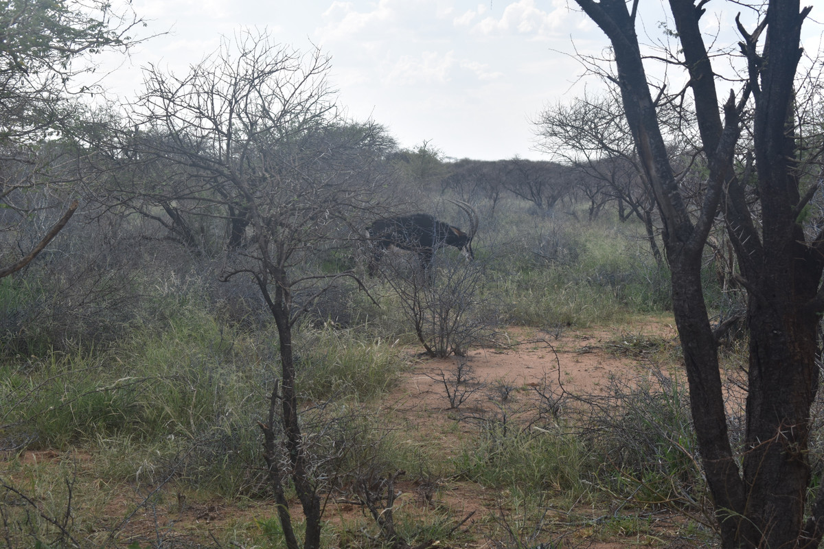 DSC 0129 — Postimages