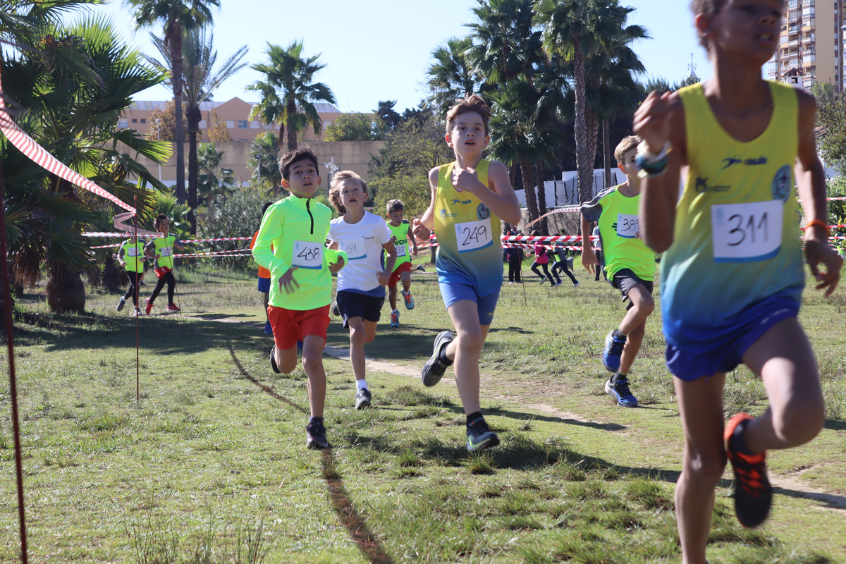 IMG 0551 — Postimages