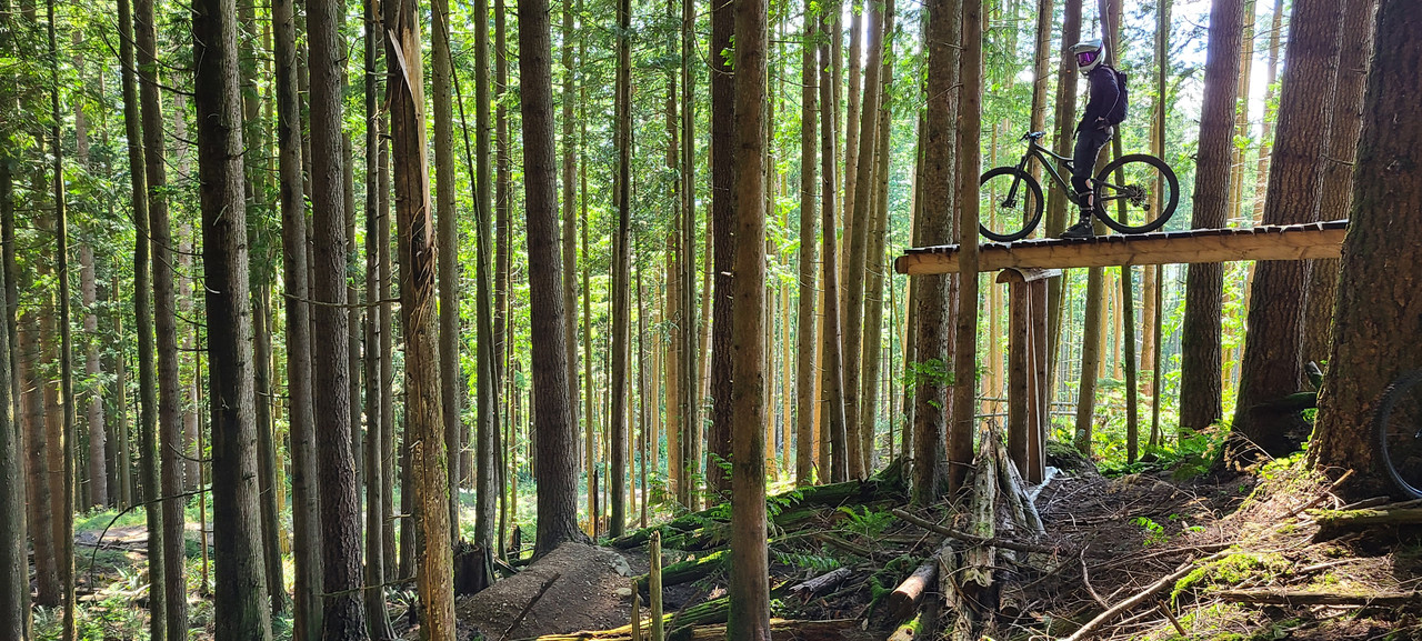 Found this crazy drop at Woodlot in Maple Ridge BC : r/MTB