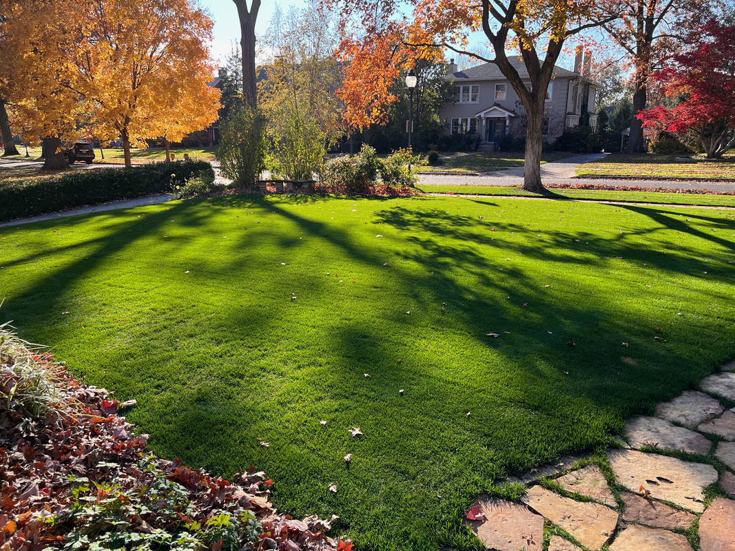 IMG 2521 — Postimages