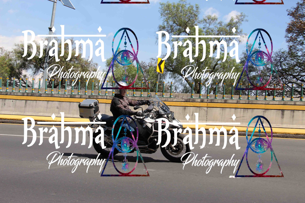 IMG 2104 — Postimages