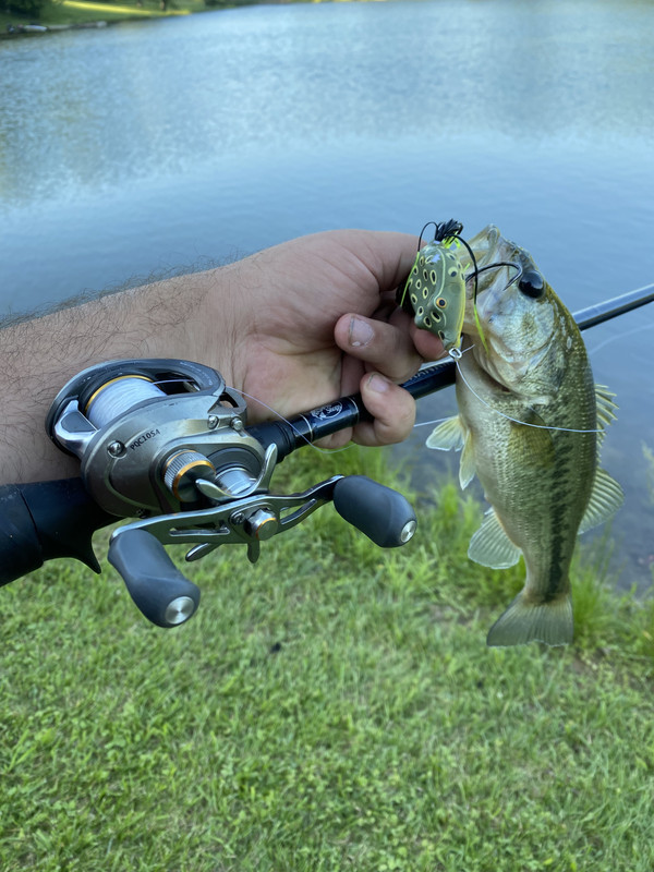 Bass Pro Reels