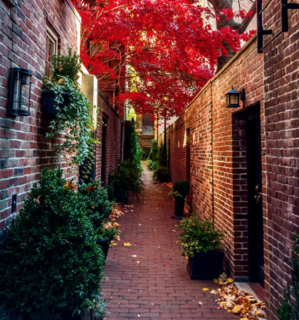 7 Places To See Fall Foliage In/Around Boston [10/09/18]