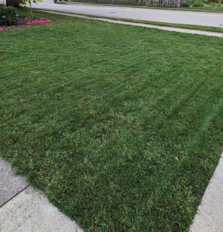 PXL 20220907 000014886 — Postimages