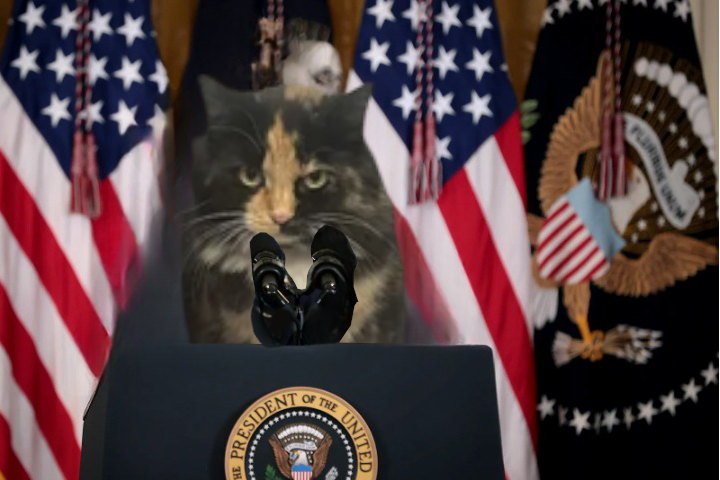 PsBattle: Salem at the table. : r/photoshopbattles
