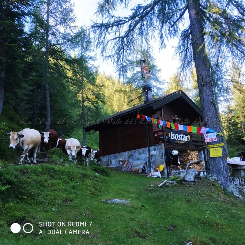 MEHT 2021 RISTORO ALL'ALPE RAUSA