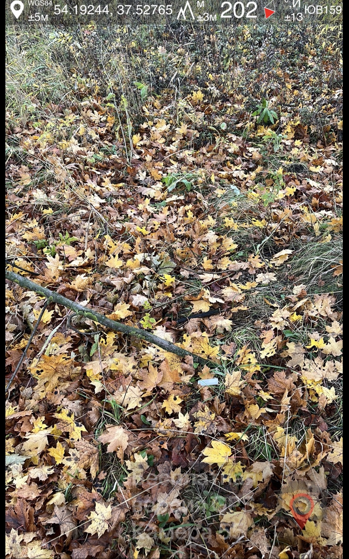 IMG 1526 — Postimages