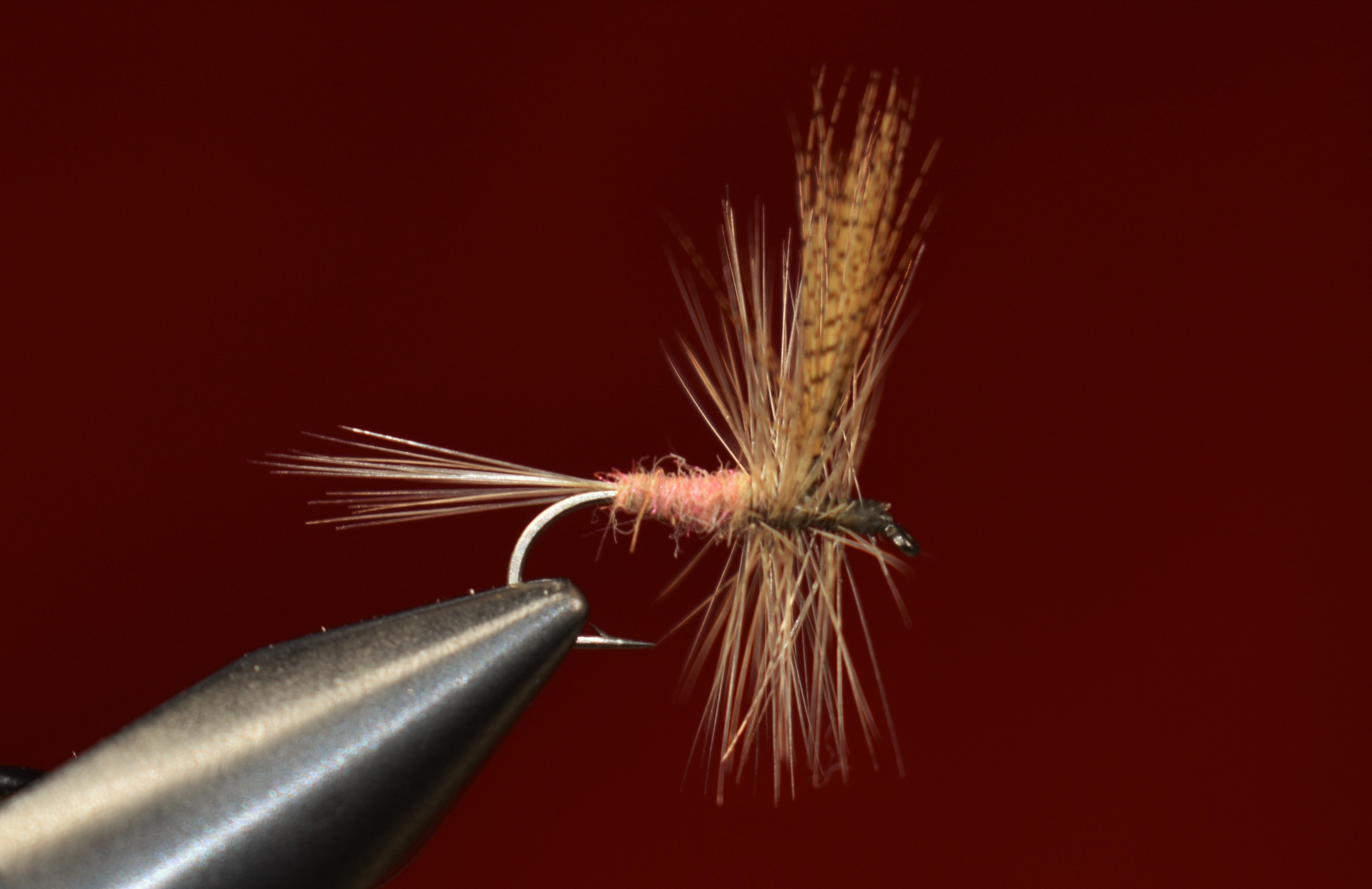 Pink Enhanced Hendrickson — Postimages