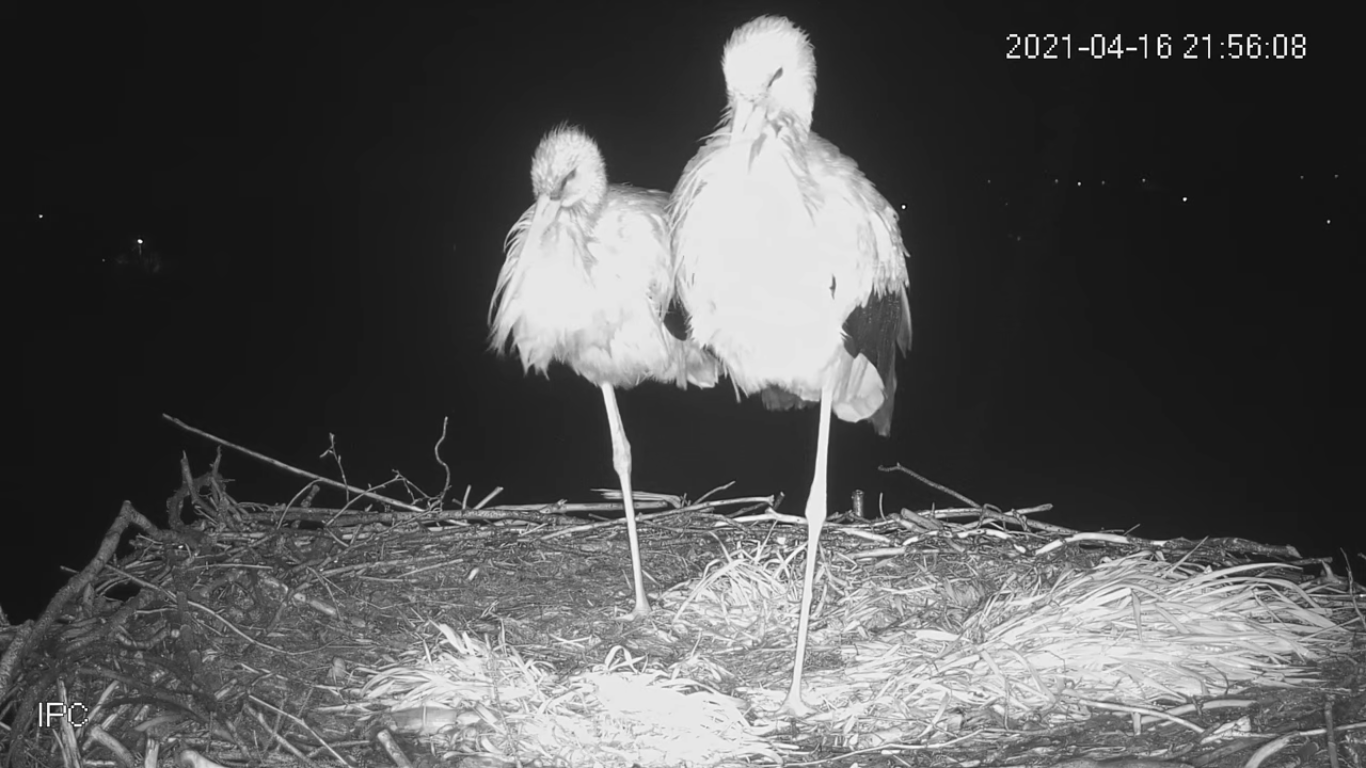 razem — Postimages