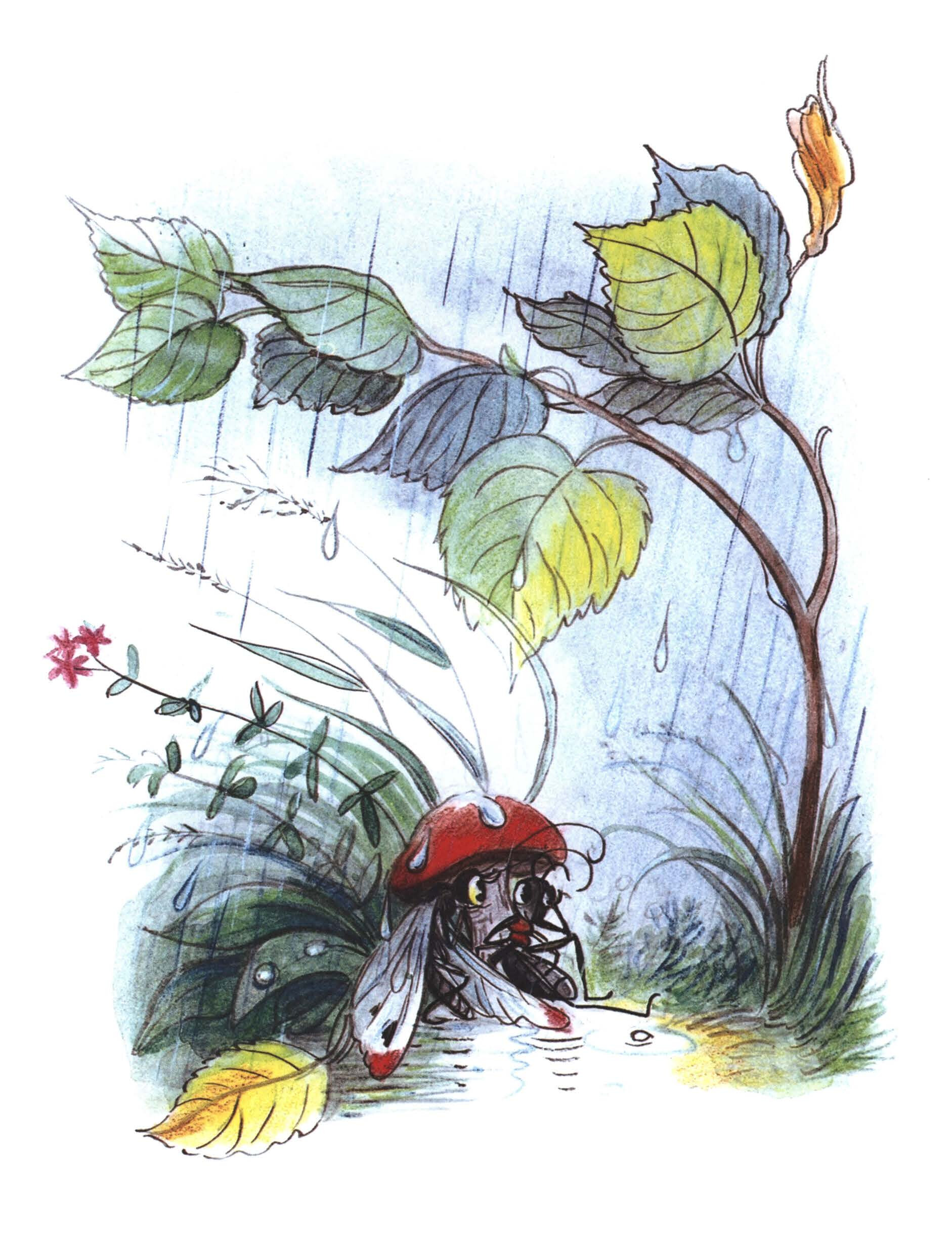 Sutejev Vladimir Skazki i kartinki 42 — Postimages