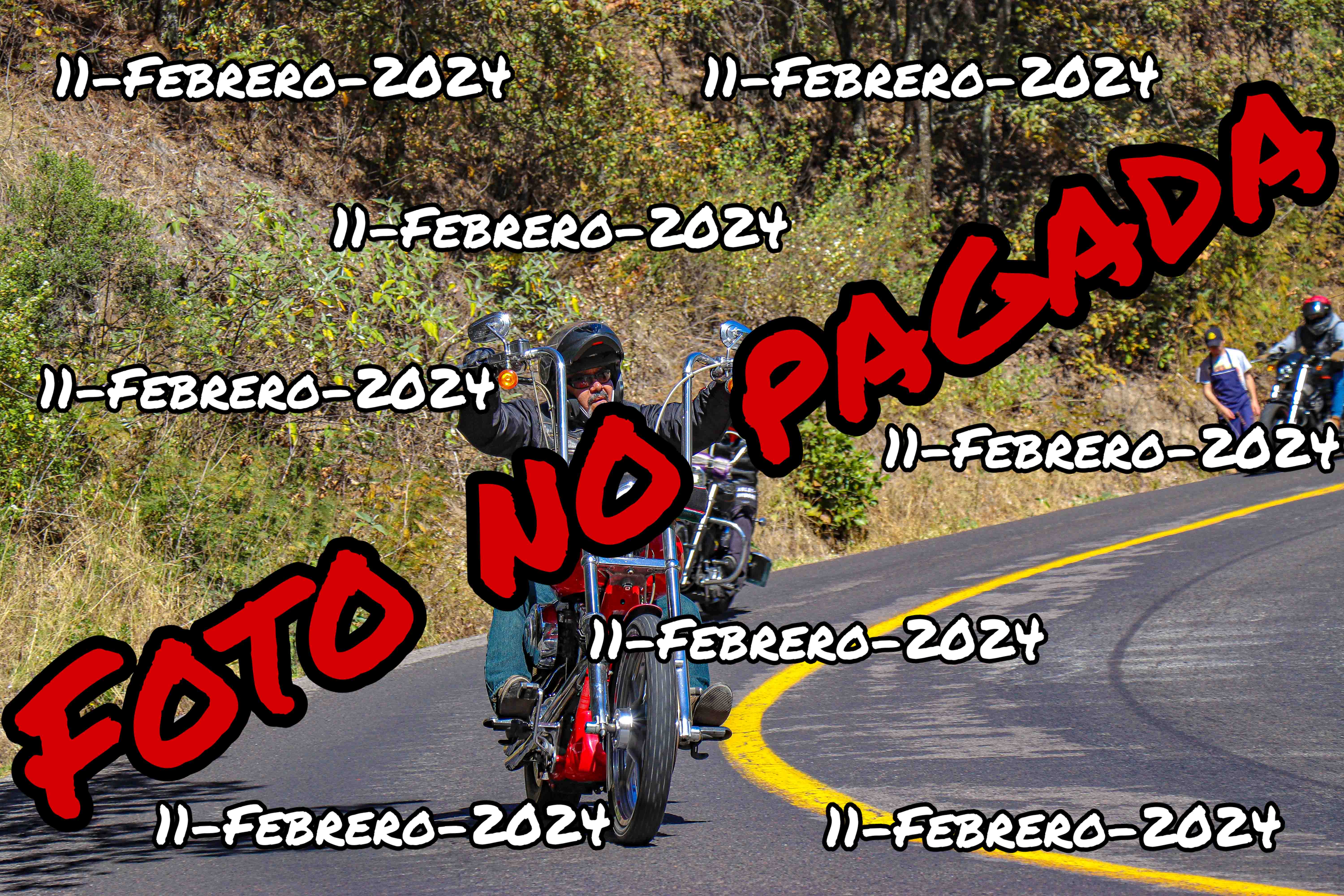 CC 217 — Postimages