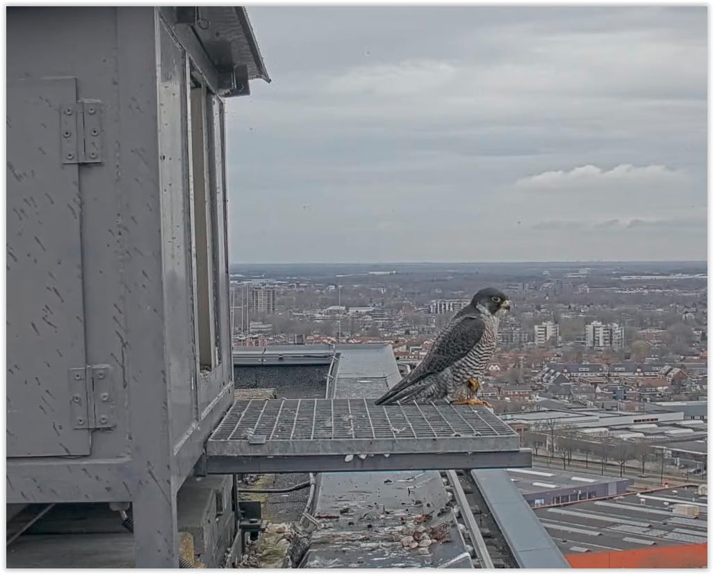 Screen Shot 03 18 23 at 01 12 PM — Postimages