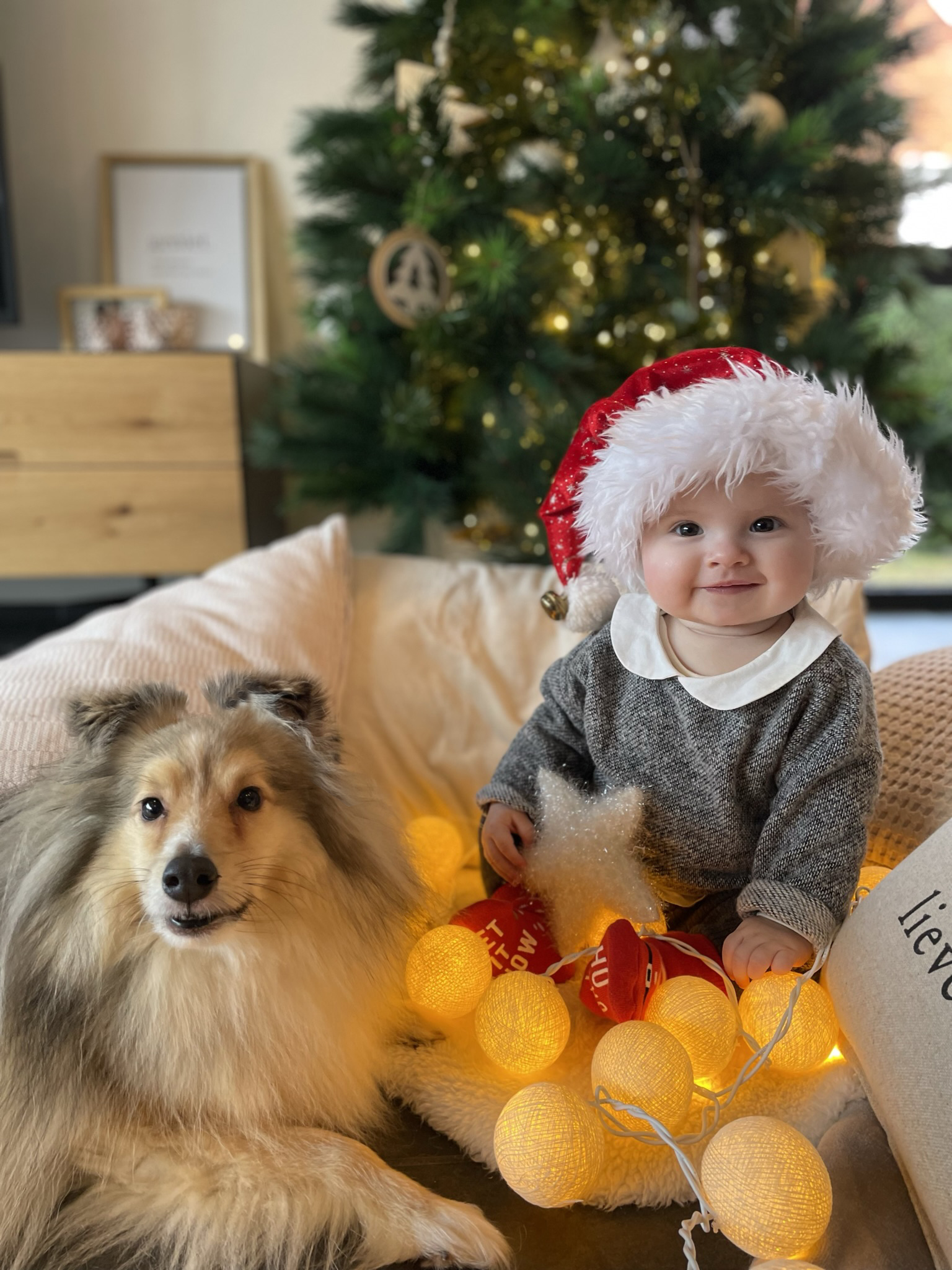 dog bby — Postimages