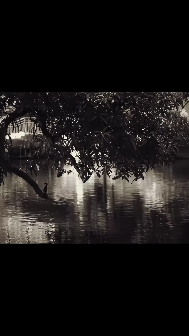 IMG 20241212 070757 695 — Postimages