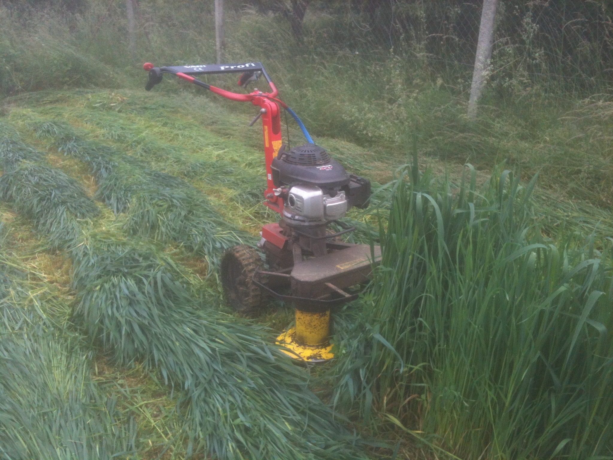 IMG 2030 — Postimages