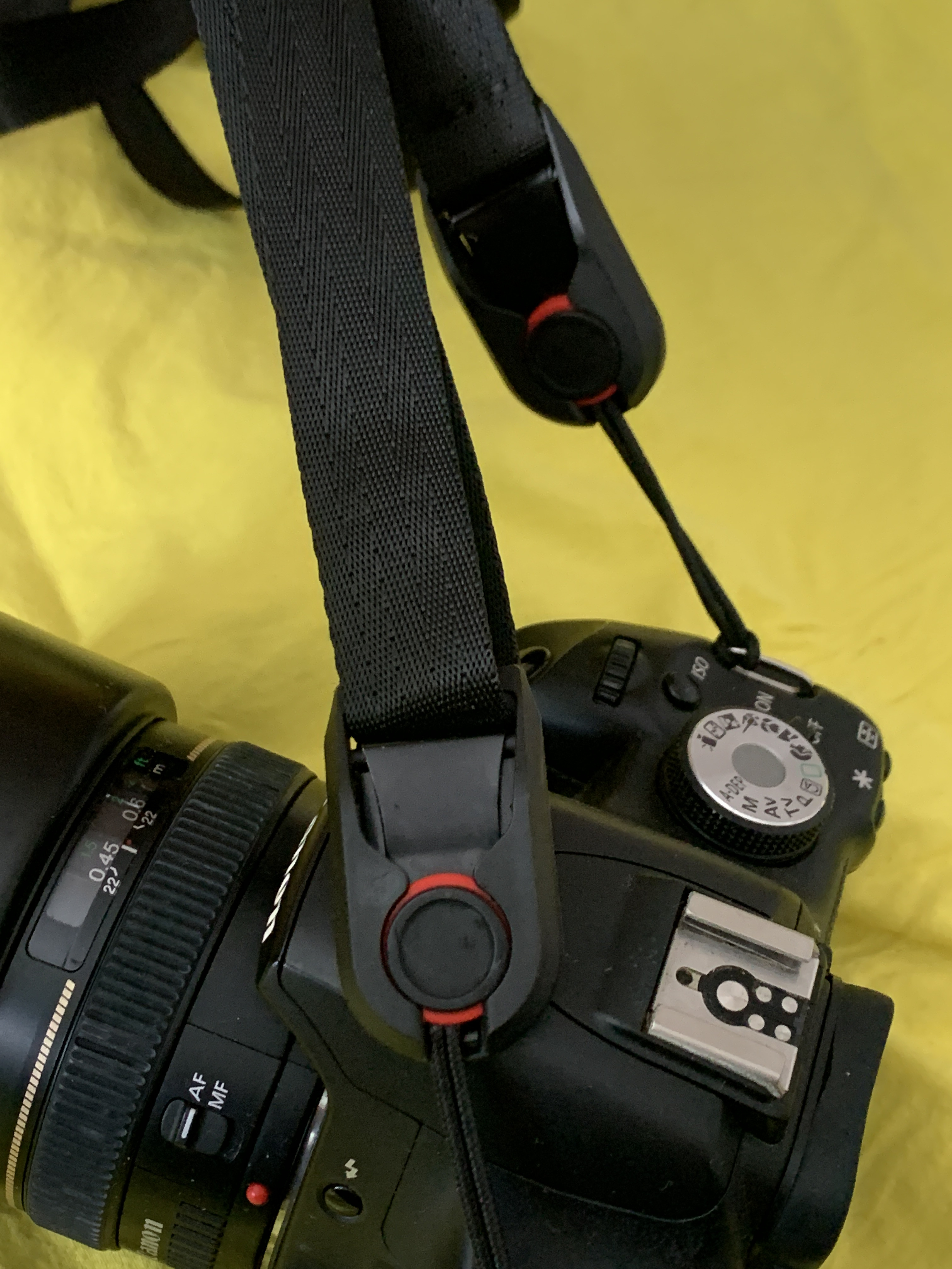 IMG 0397 — Postimages