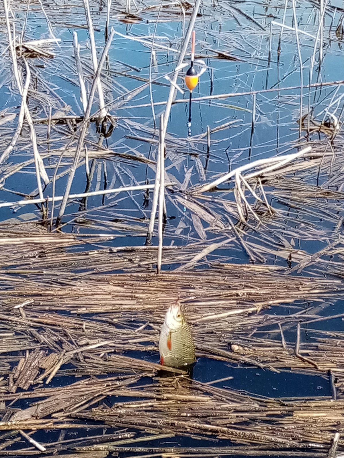 Rx Ts O2 Mk JF8 — Postimages