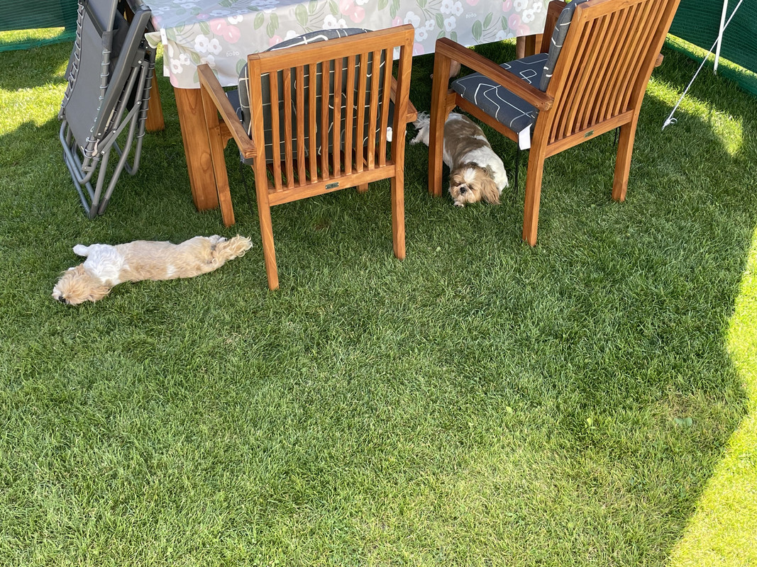 IMG 8157 — Postimages