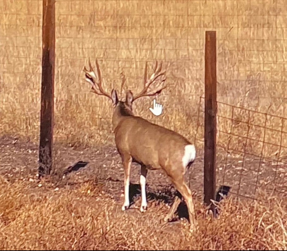 thumbnail (4) — Postimages