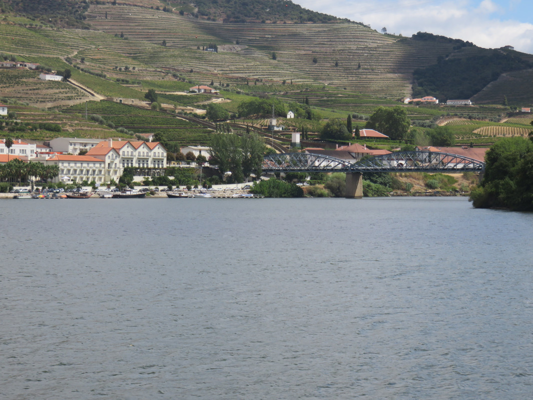 IMG 1202 — Postimages