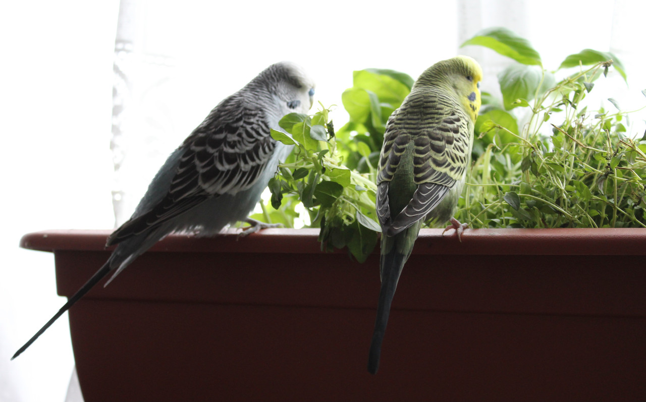 20230808120348 IMG 0746 — Postimages