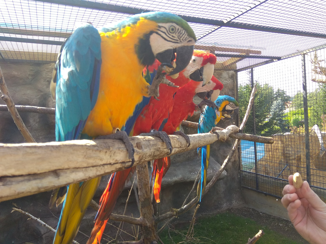 IMG 20210908 132335 — Postimages